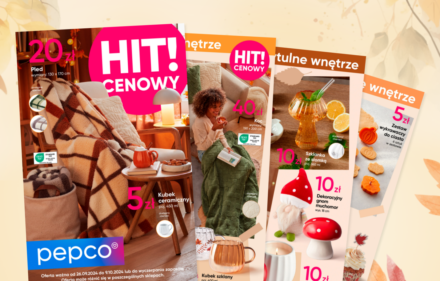 Strona główna sieci sklepów – Pepco Polska