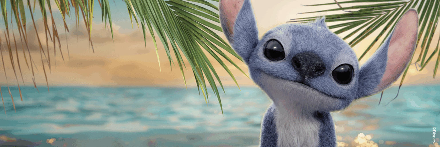 Lilo & Stitch - Pepco Polska